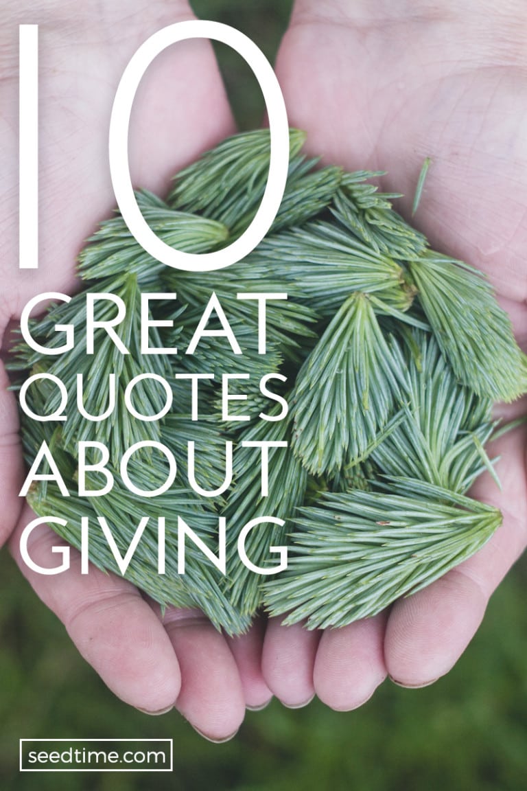 10 Of My Favorite Quotes About Giving