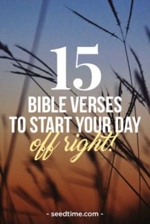 15 Bible Verses to start Your day off right!